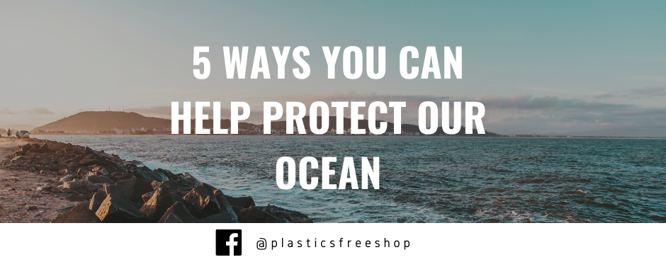 5 Ways YOU Can Help Protect Our Ocean – Plastics Free
