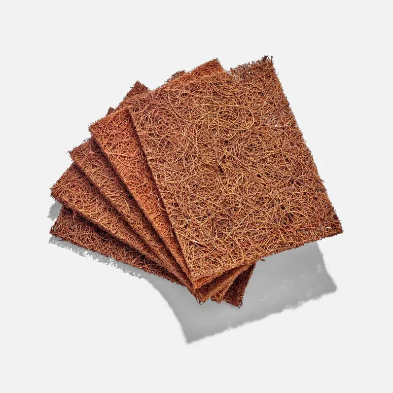 Coconut Kitchen Scourers (Pack of 5) – Plastics Free